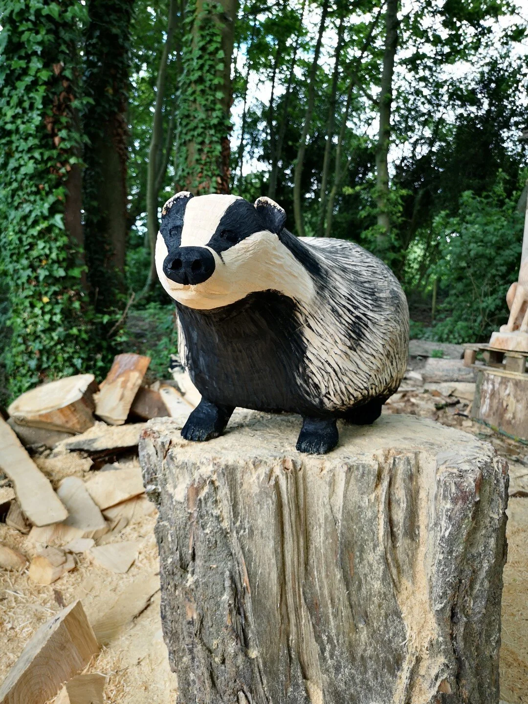 Portfolio — Chainsaw and Power Carving Artist