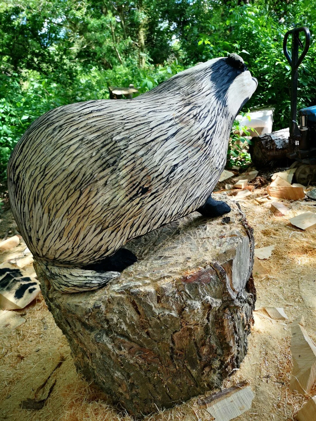 Portfolio — Chainsaw and Power Carving Artist