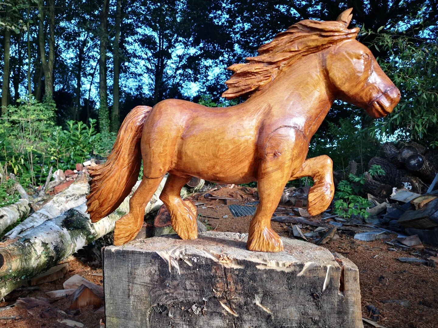 Portfolio — Chainsaw and Power Carving Artist