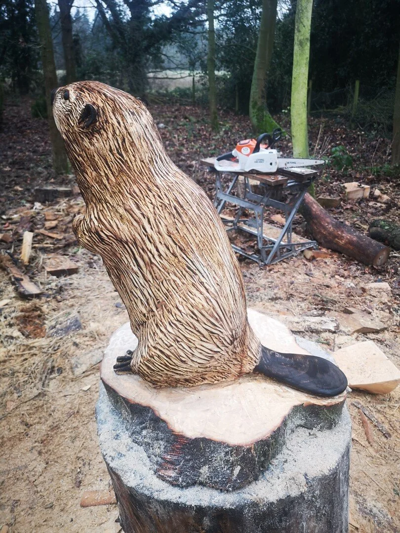 Portfolio — Chainsaw and Power Carving Artist