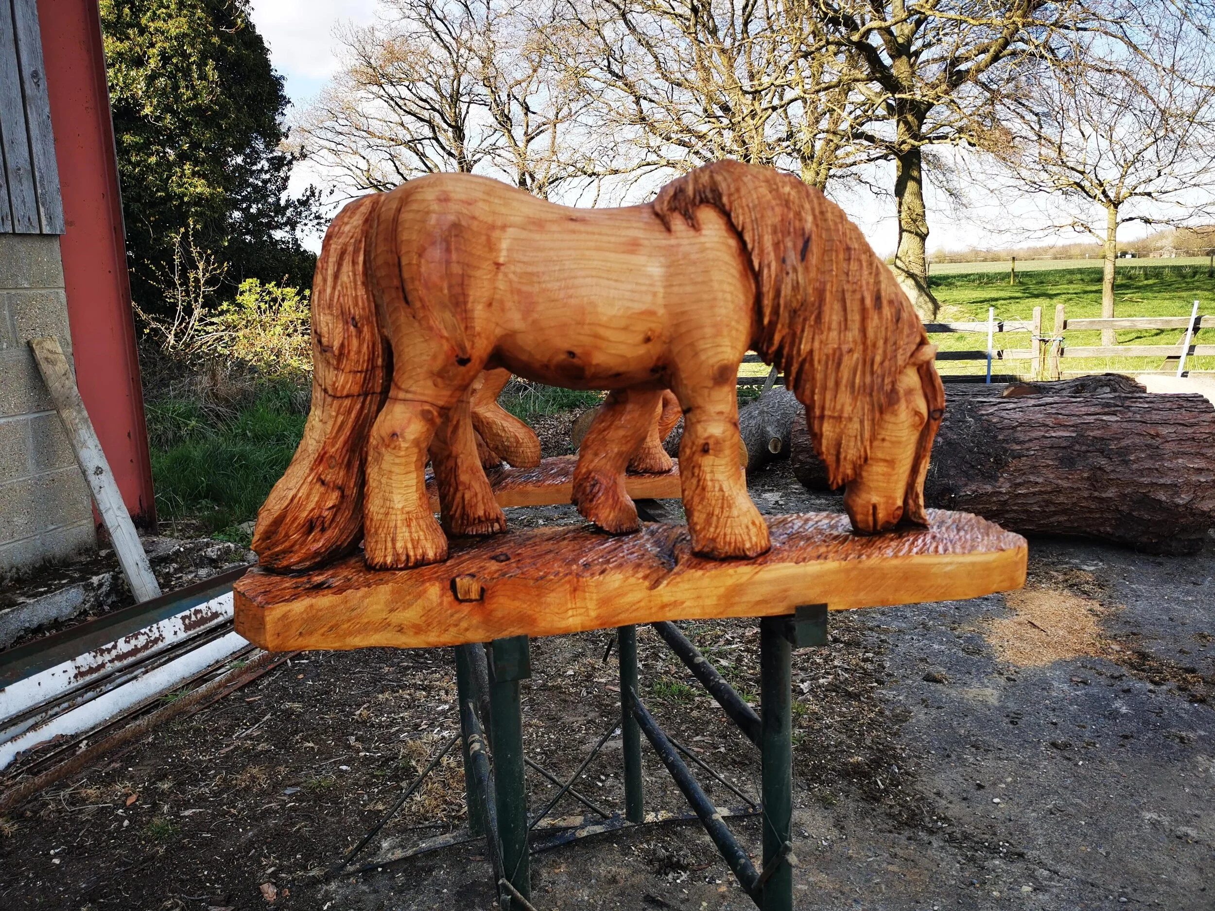 Portfolio — Chainsaw and Power Carving Artist