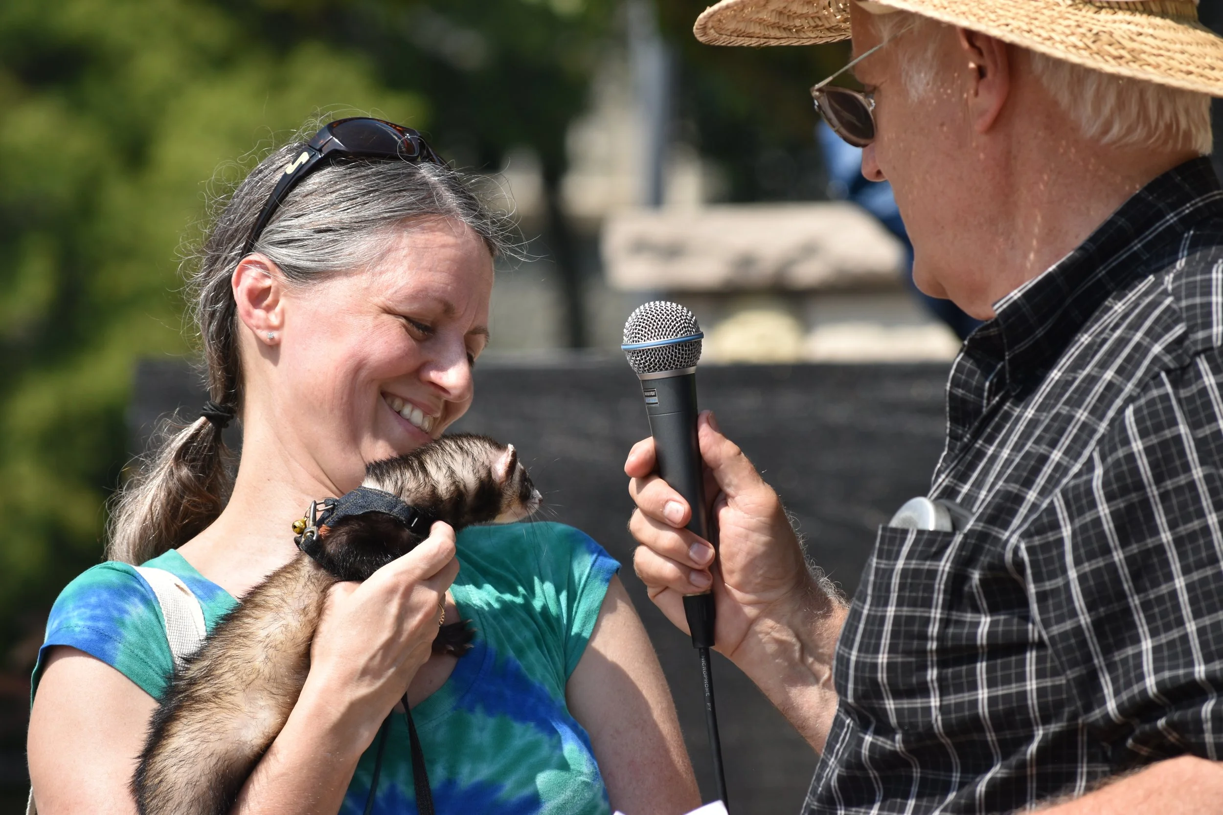 Full Festival Schedule — Windmill City Festival