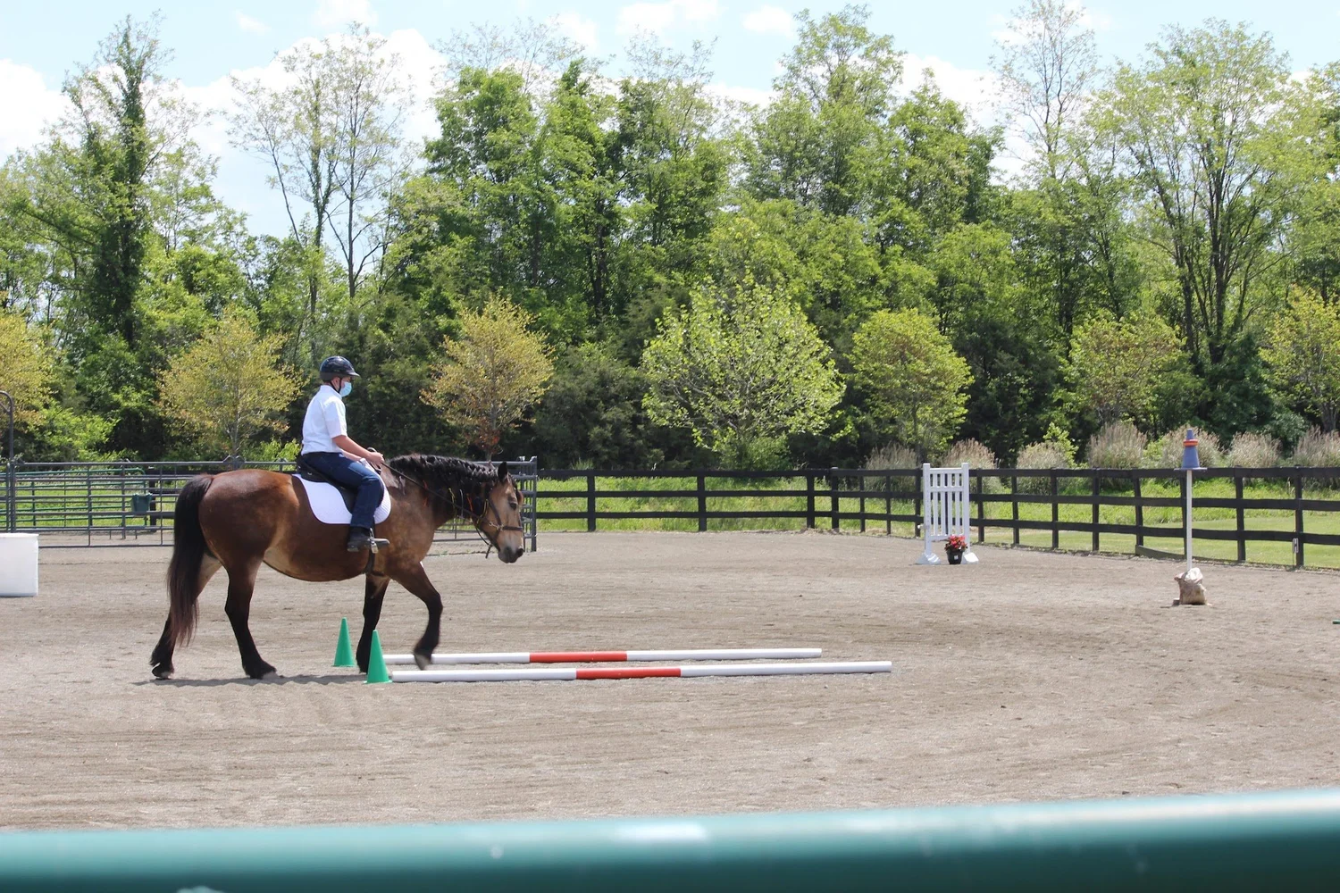 Rainbow Therapeutic Riding Center