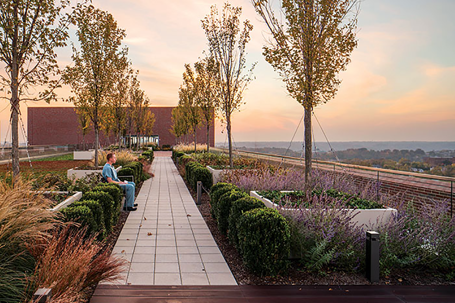 Nature's Guide to Biophilic Design in Healthcare — Etactics