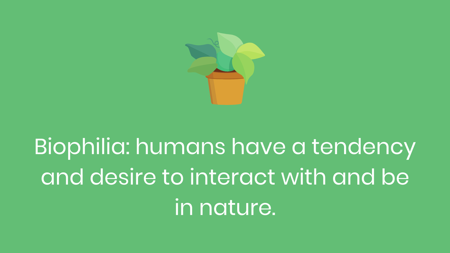 Nature's Guide to Biophilic Design in Healthcare — Etactics