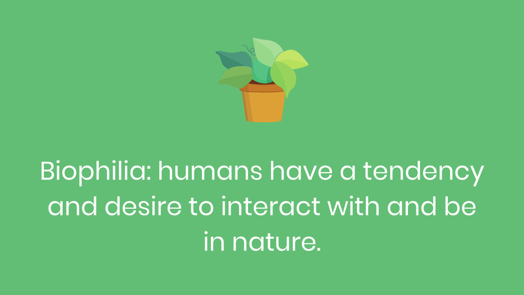 Nature's Guide to Biophilic Design in Healthcare — Etactics