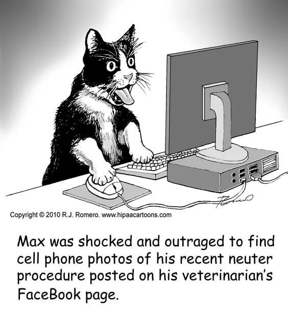 HIPAA Humor: 15+ Memes To Make You LOL! — Etactics
