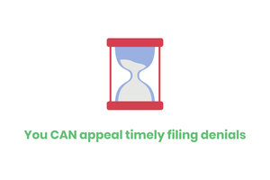 3 Effective Appeal Letter Samples for Timely Filing — Etactics