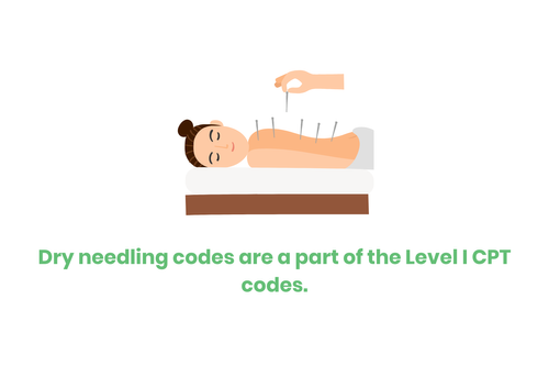 Dry Needling CPT Codes: An Ultimate Guide — Etactics