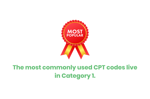 CPT Code 99204: Everything You Need to Know — Etactics