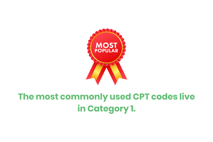 CPT Code 99204: Everything You Need to Know — Etactics