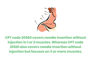 Dry Needling CPT Codes: An Ultimate Guide — Etactics