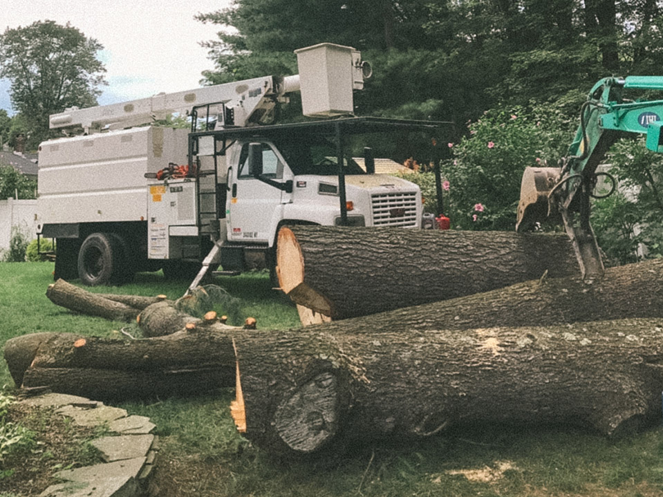 Getty's Tree Service