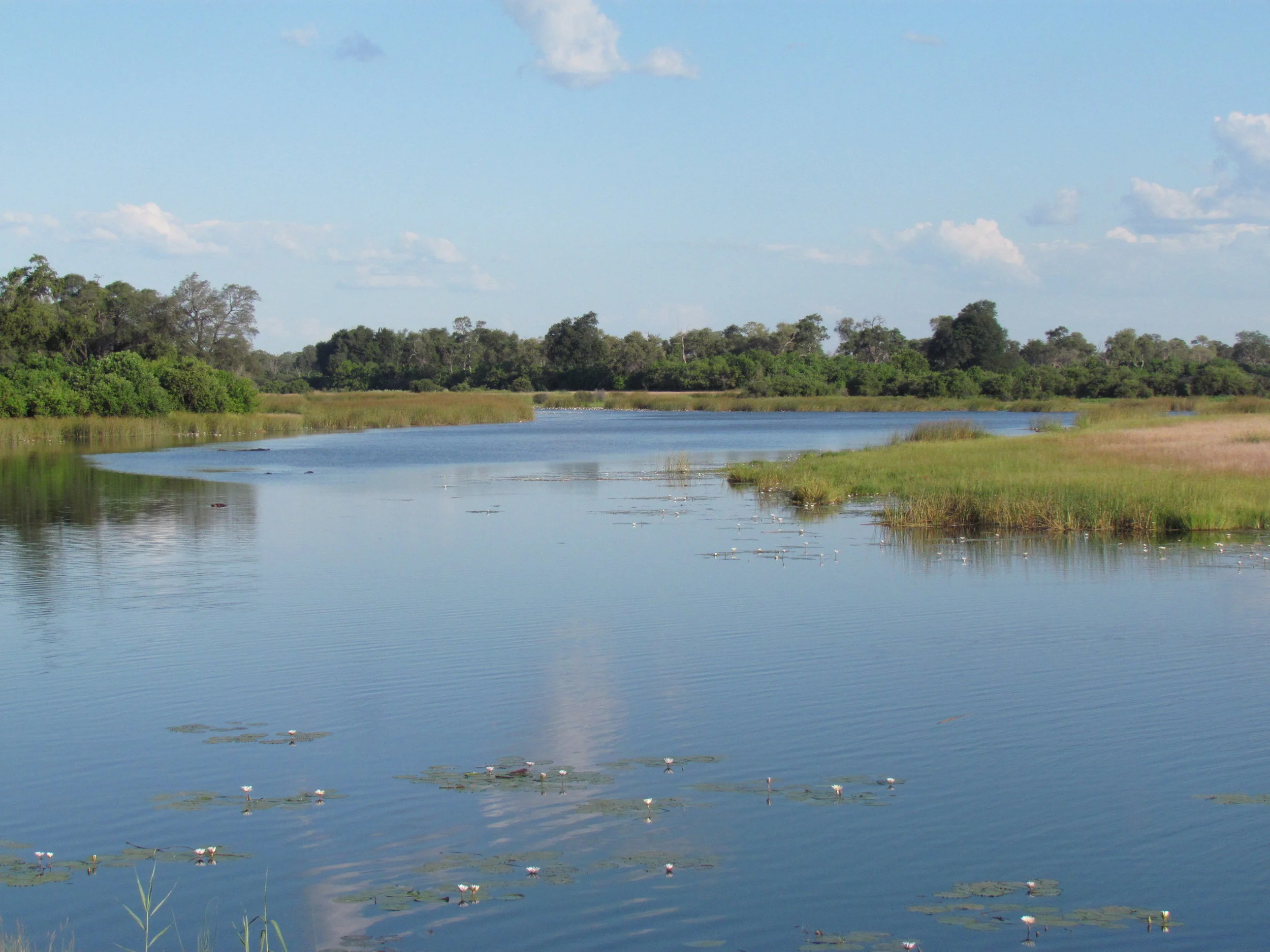 Projects — Encore Environmental, LLC