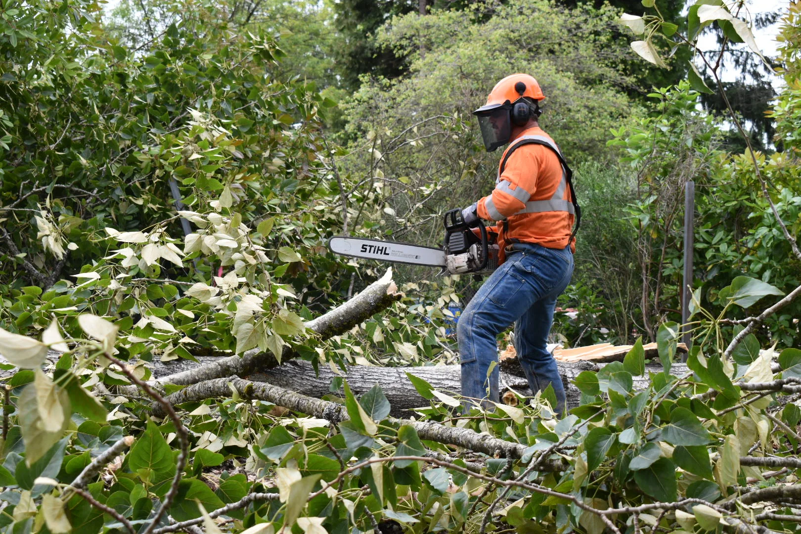 Projects — Encore Environmental, LLC