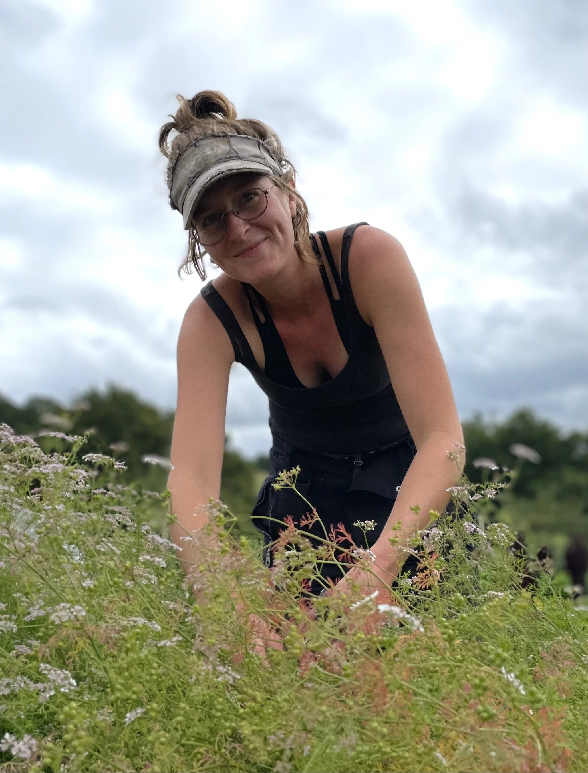 Stroud Producers — The Long Table