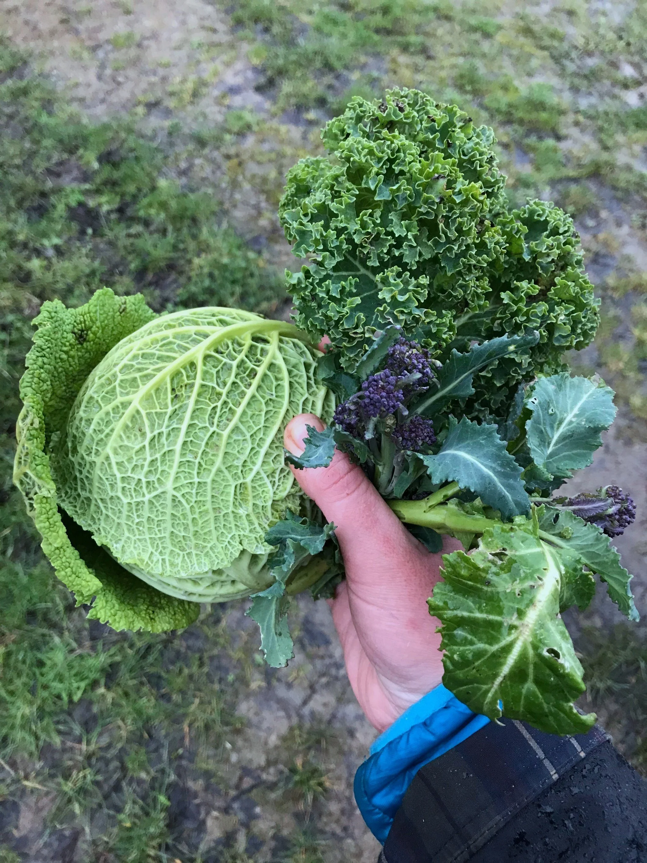 About Us — The Long Table