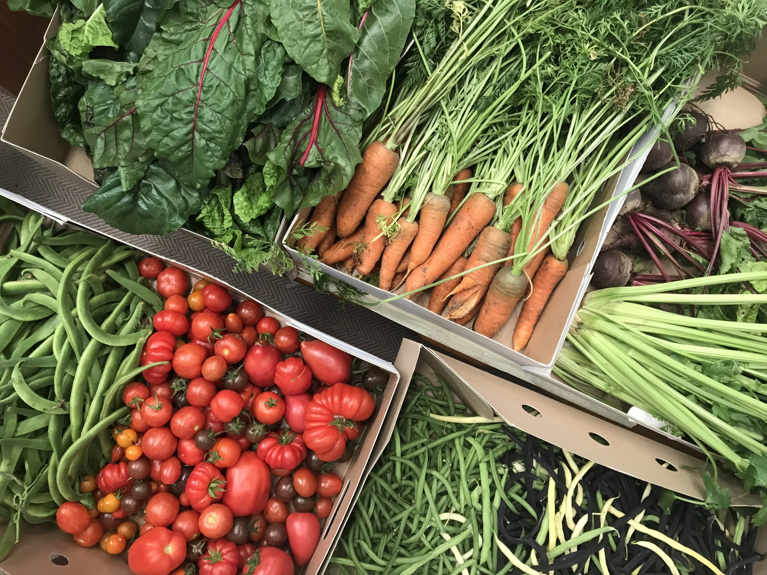 The Long Table Food Policy — The Long Table