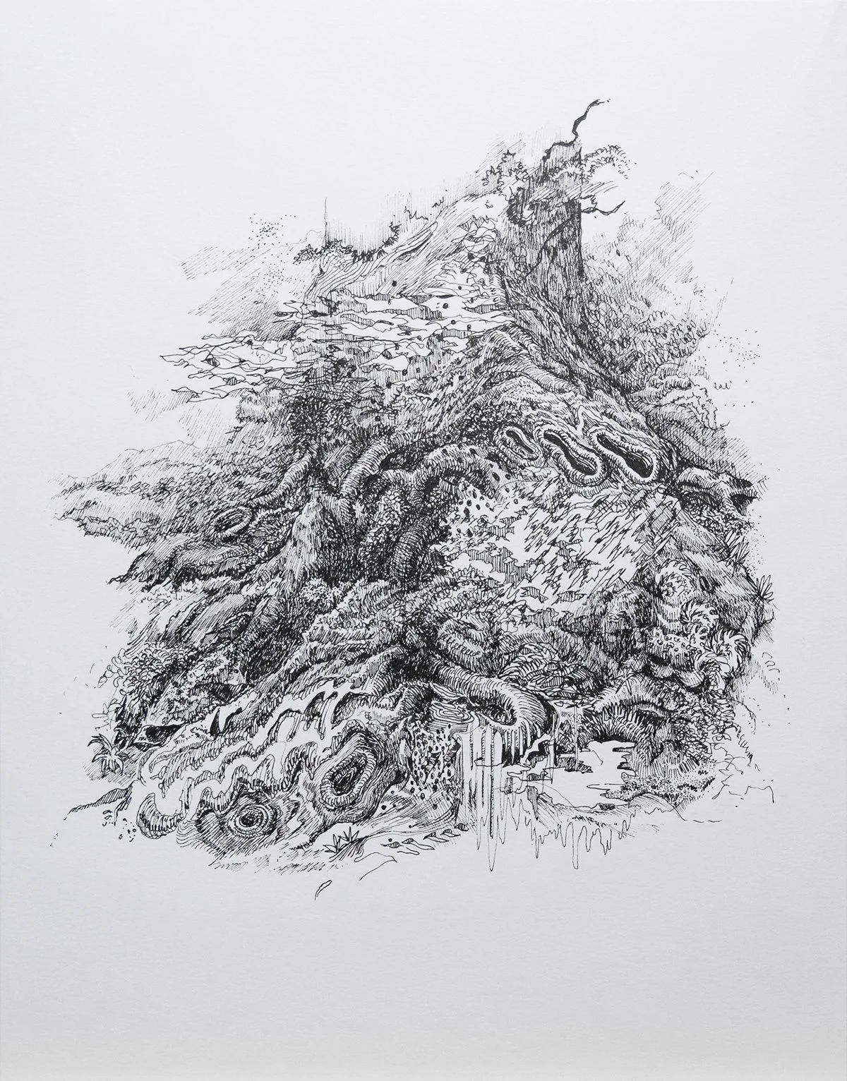 Recent Drawings — ALEXANDER SQUIER