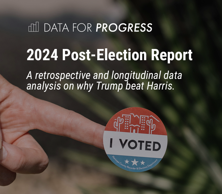2024 Post-Election Report