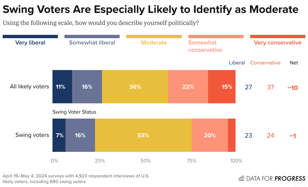 Measuring the Swing: Evaluating the Key Voters of 2024