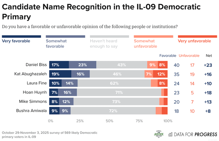 IL-09 Democratic Primary Poll Shows Early Leaders Four Months Out From ...