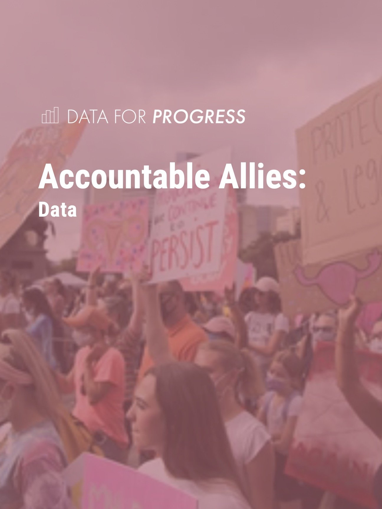 Accountable Allies: DFP's Abortion Accountability Project