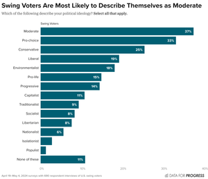 Measuring the Swing: Evaluating the Key Voters of 2024