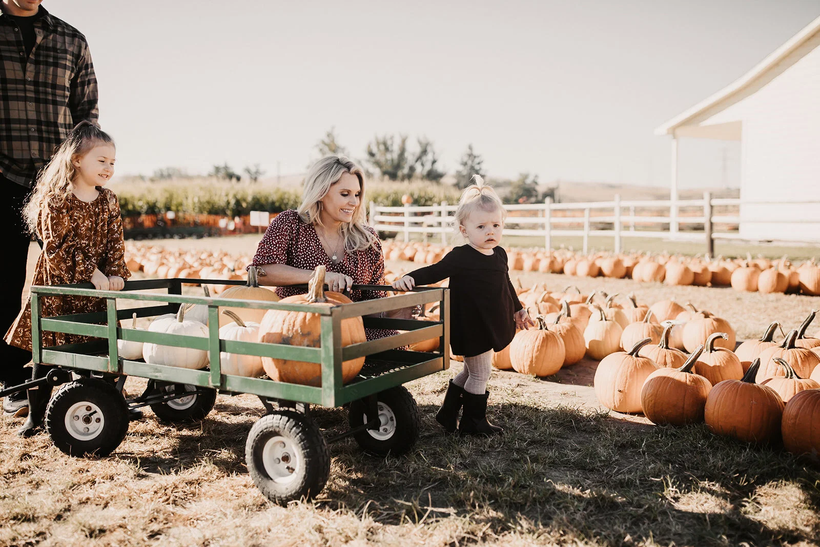 Fall Family Photos — By Angela