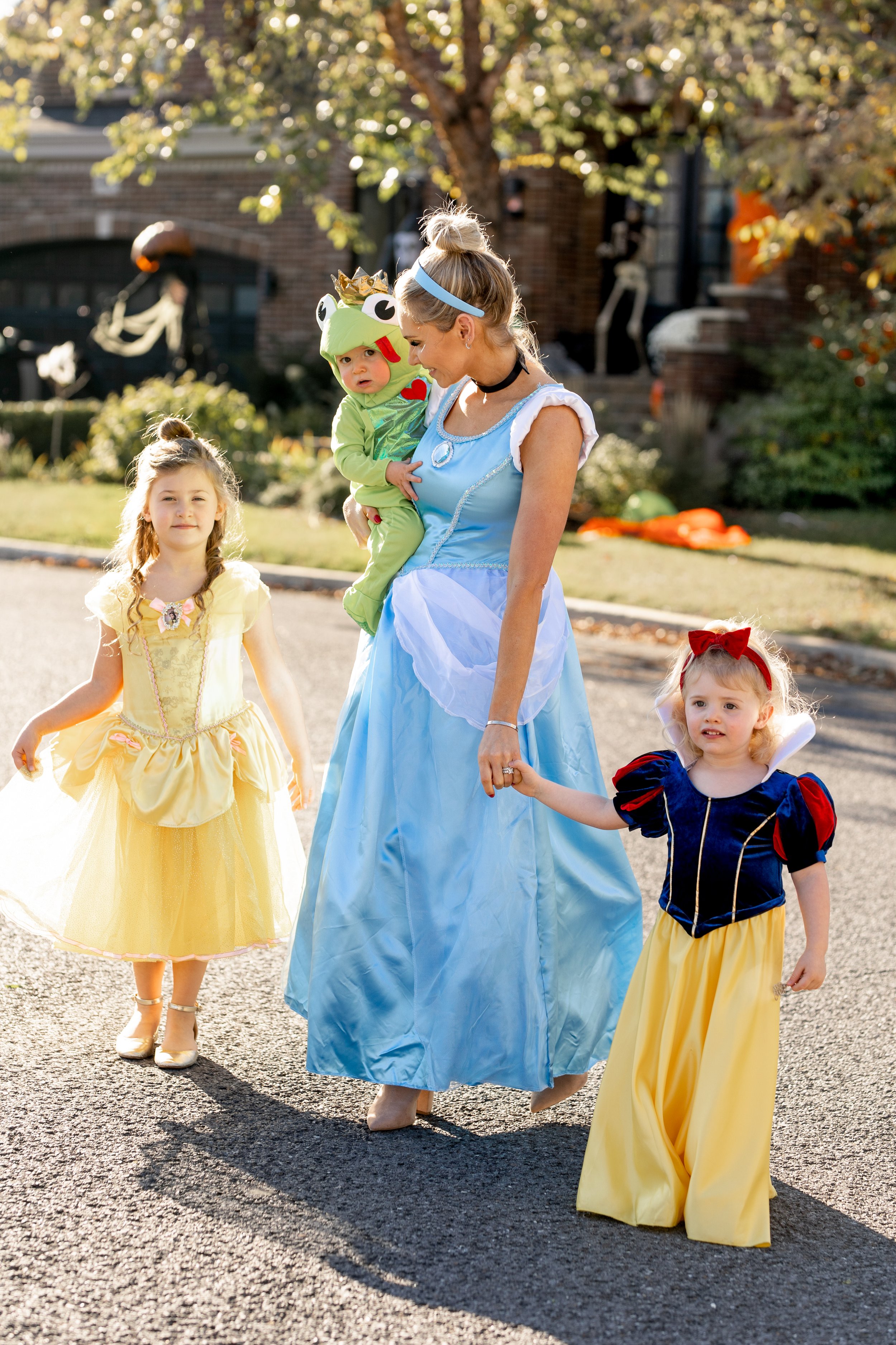 Cinderella Family Costumes