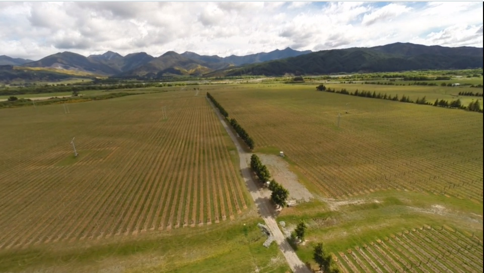 News — Indevin New Zealand