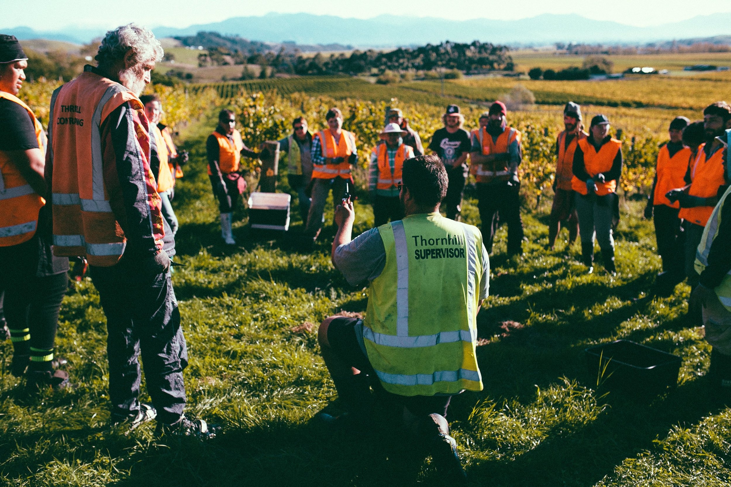 What We Do — Indevin New Zealand