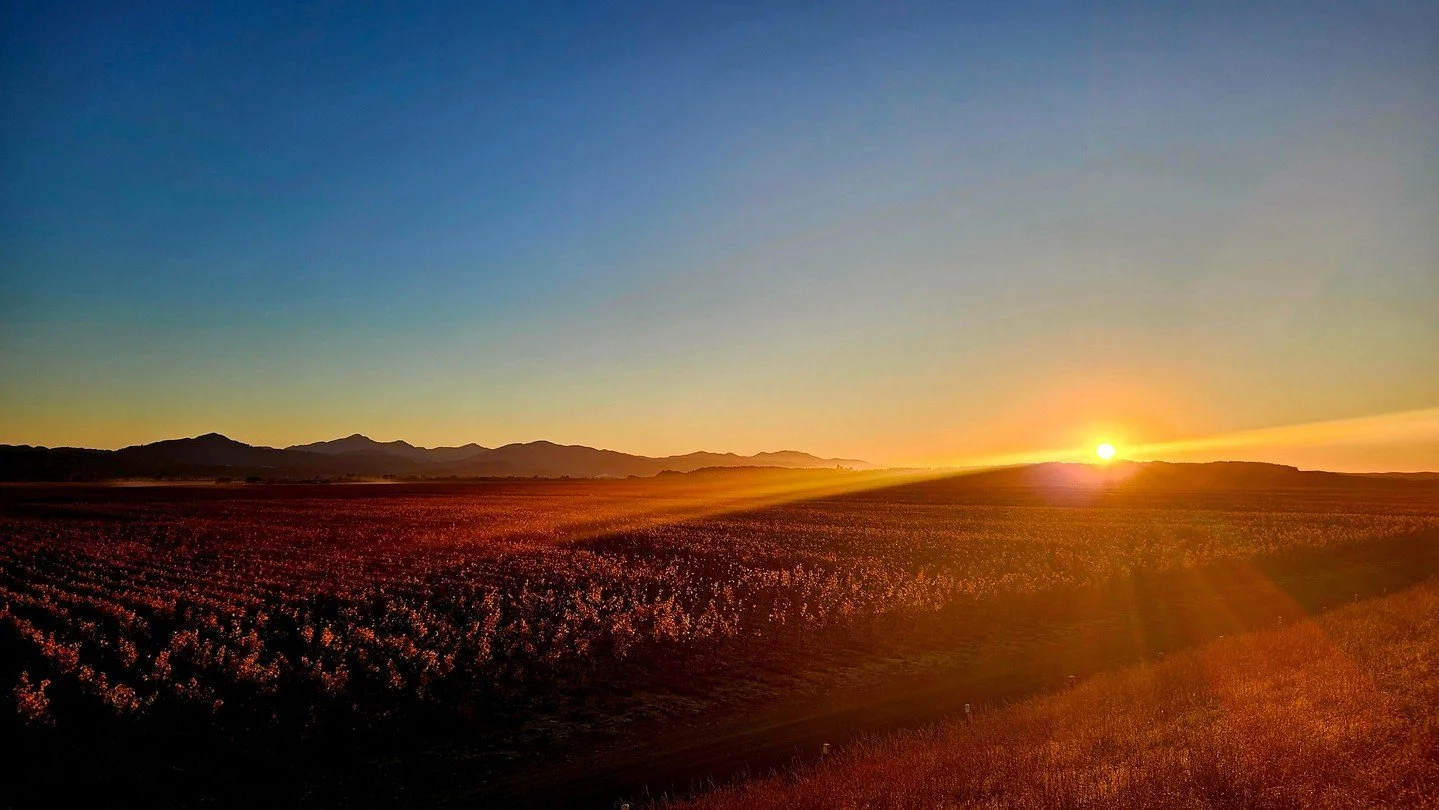 Our Leadership — Indevin New Zealand