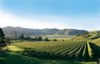 About Us — Indevin New Zealand