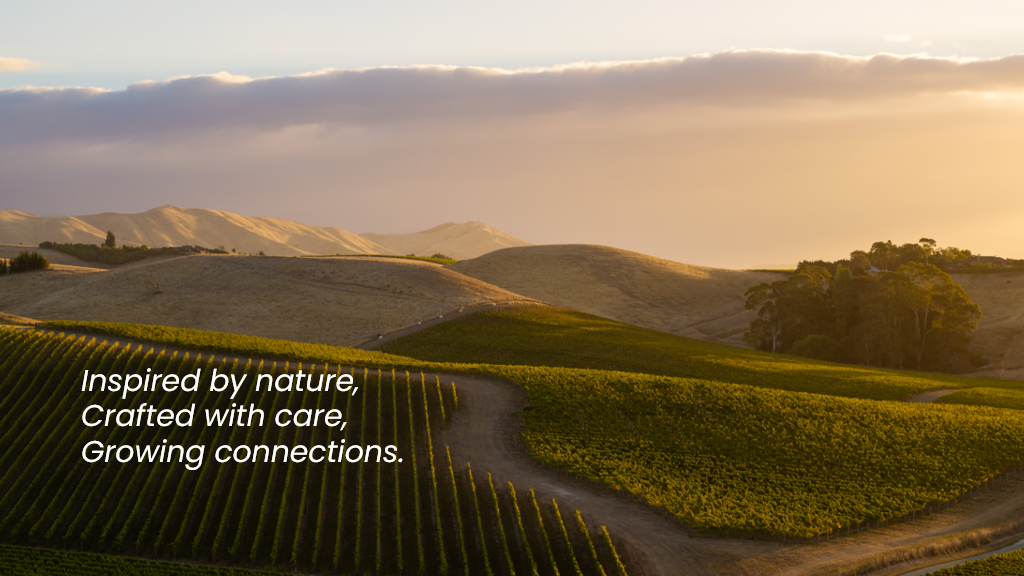 About Us — Indevin New Zealand