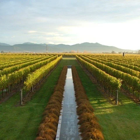 Our Wineries — Indevin New Zealand