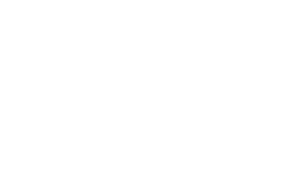 Portfolio — Overkill