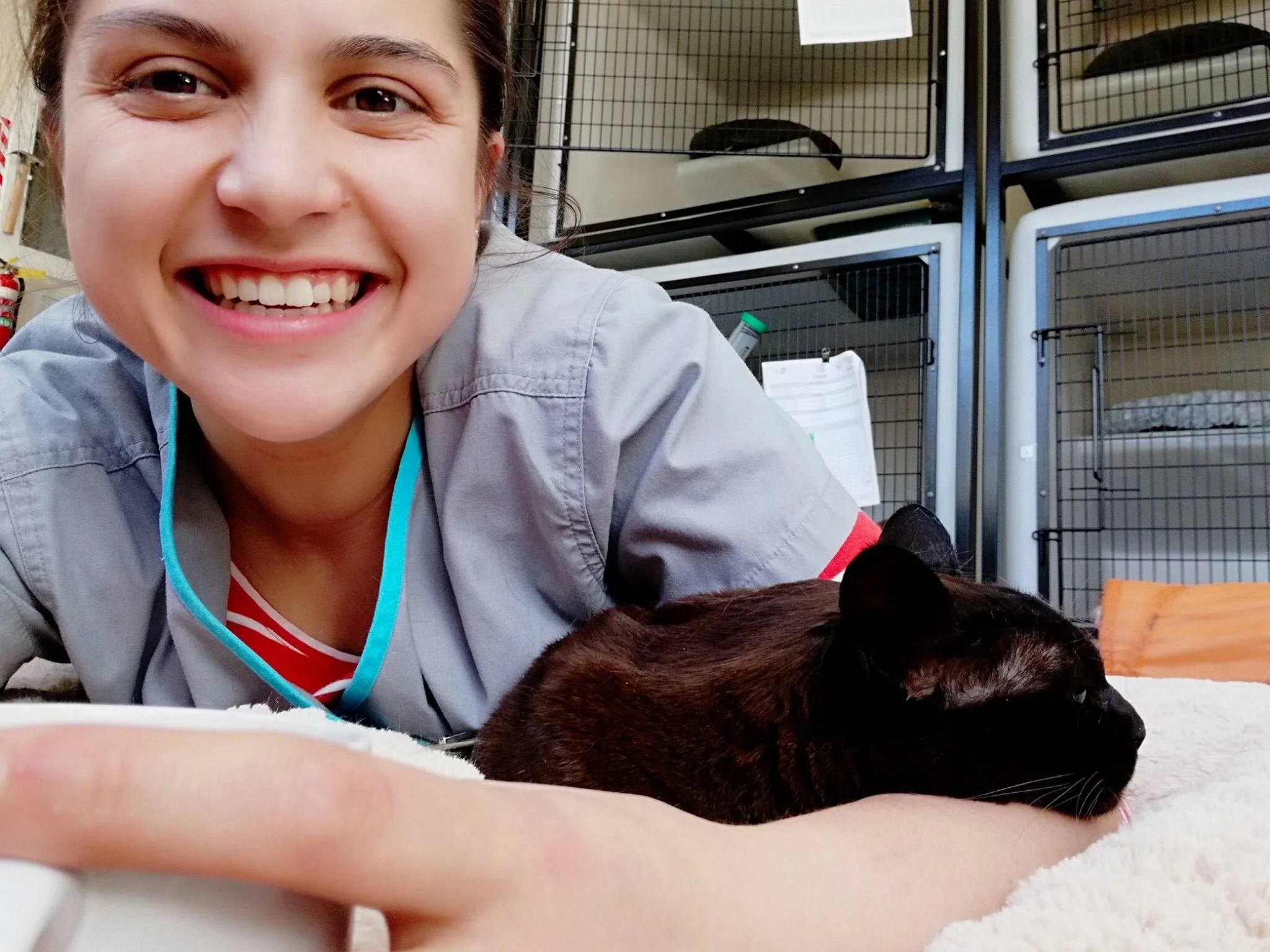 About Us — Kelburn Vets