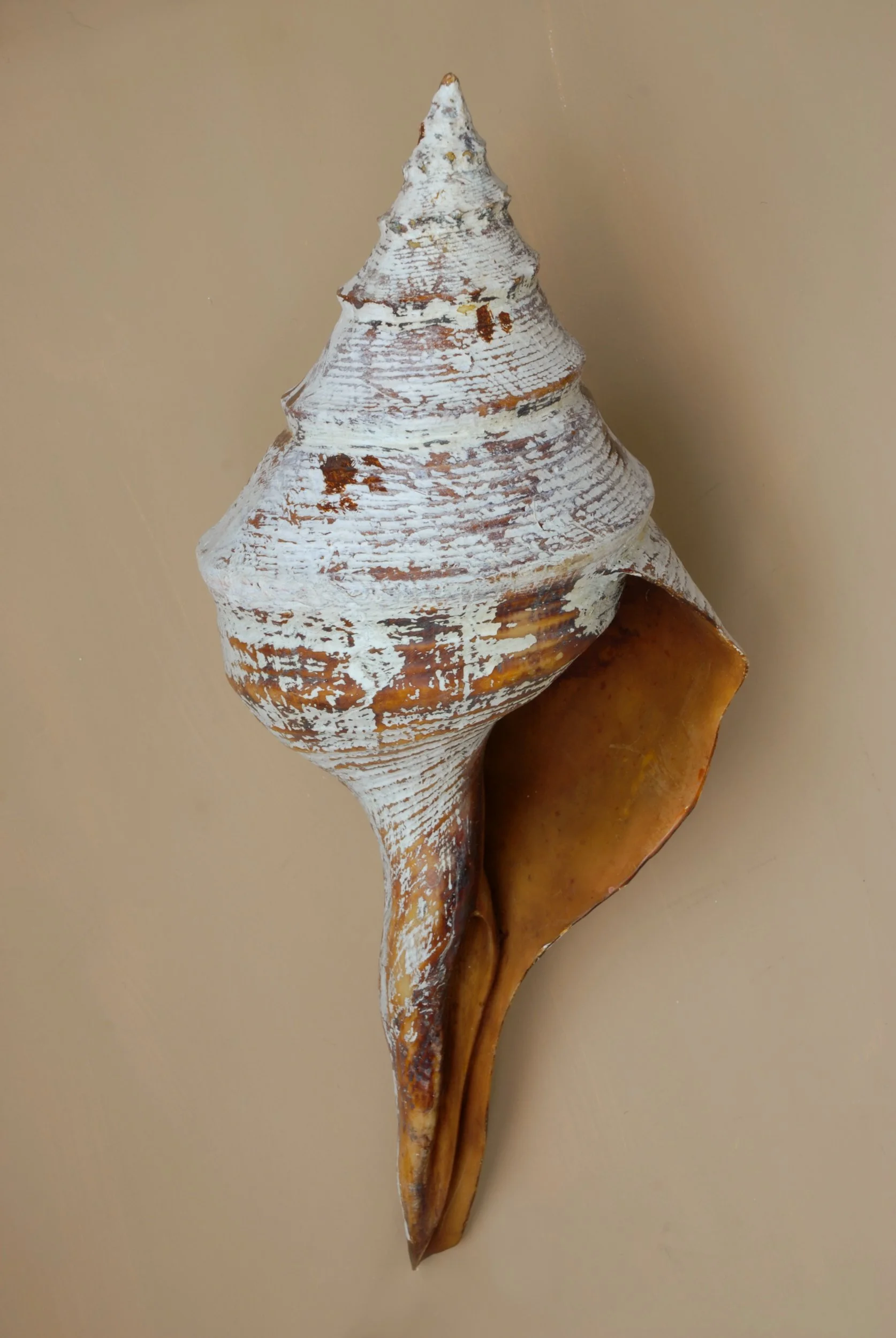 Shop — Water and Wood