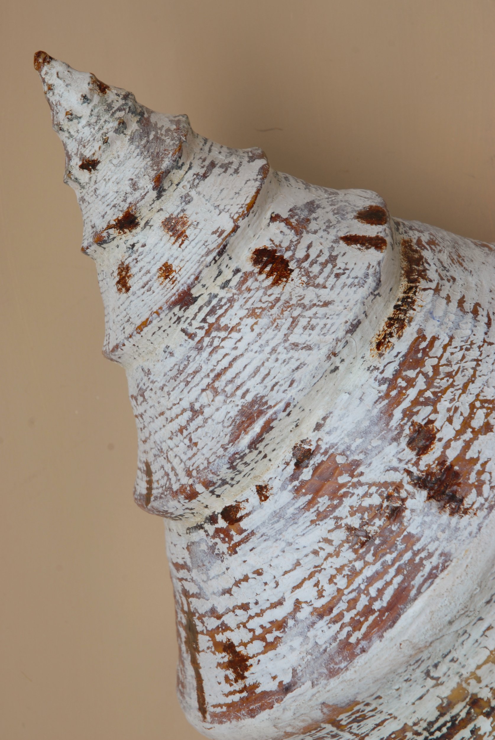 Shop — Water and Wood