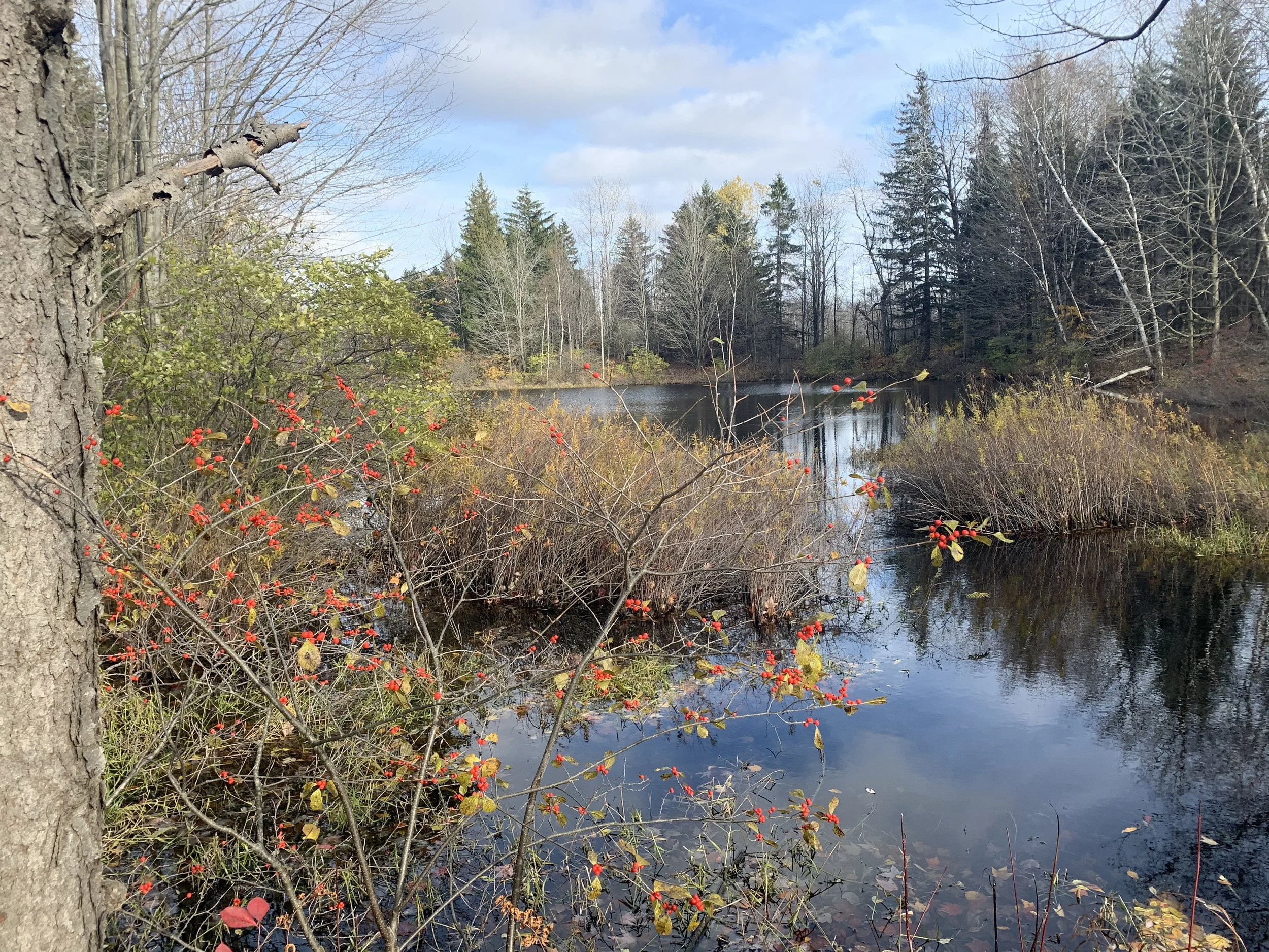 Minden City — Michigan's Forgotten Coast