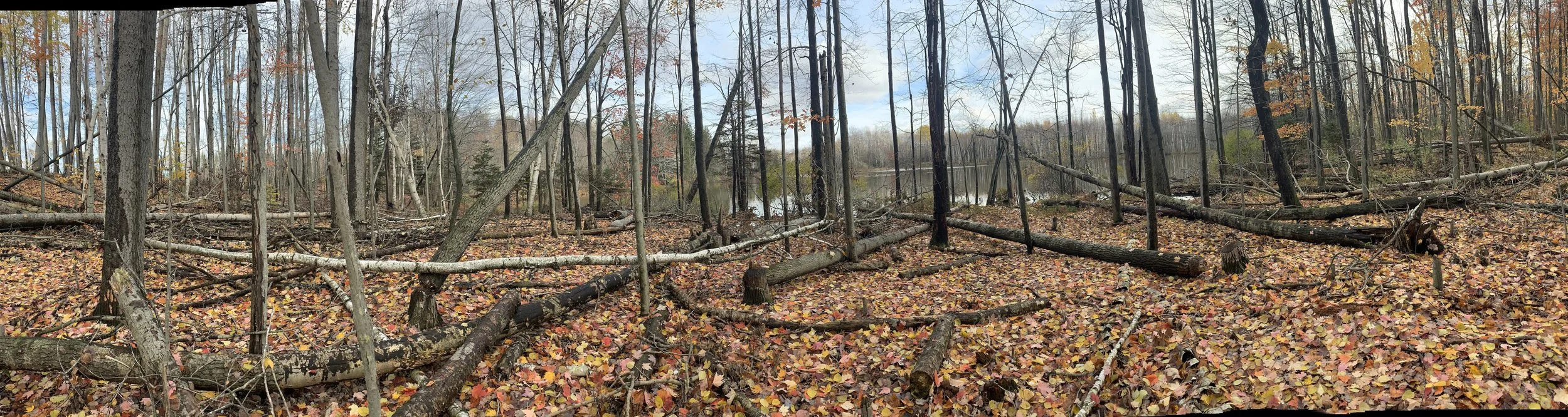 Minden City — Michigan's Forgotten Coast