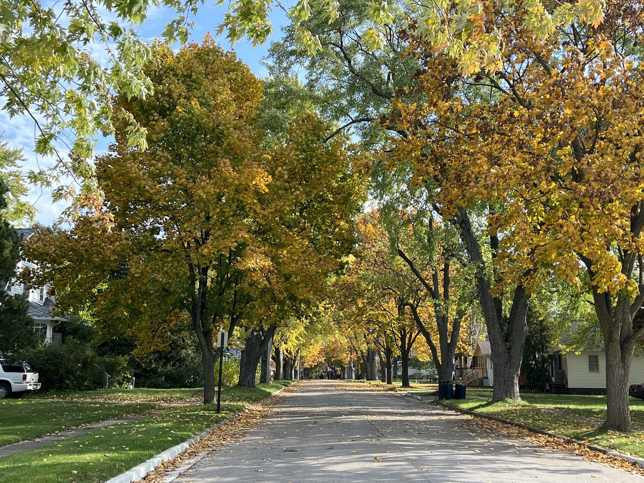 Fairgrove — Michigan's Forgotten Coast