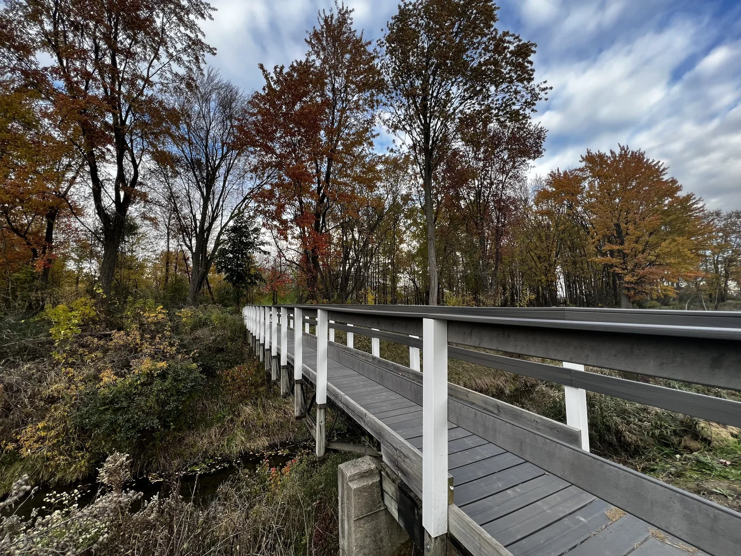 Bad Axe — Michigan's Forgotten Coast