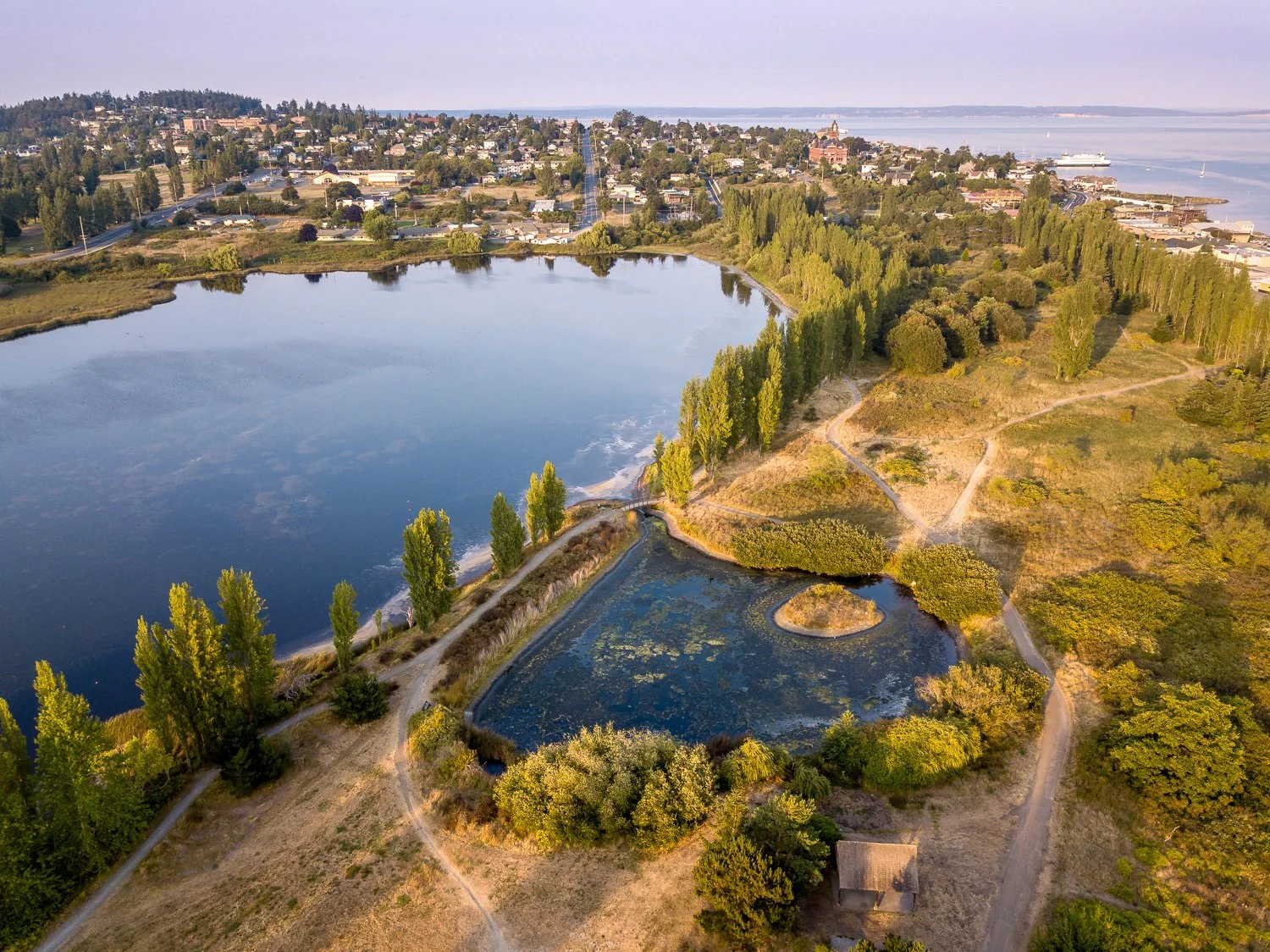 Kah Tai Nature Park — Rainshadow Bird Alliance