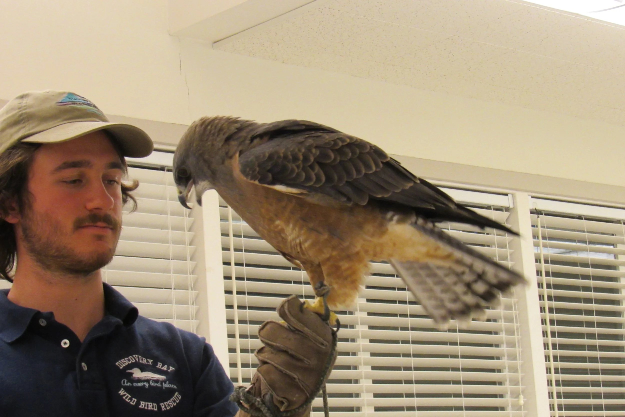 Rainshadow Bird Alliance