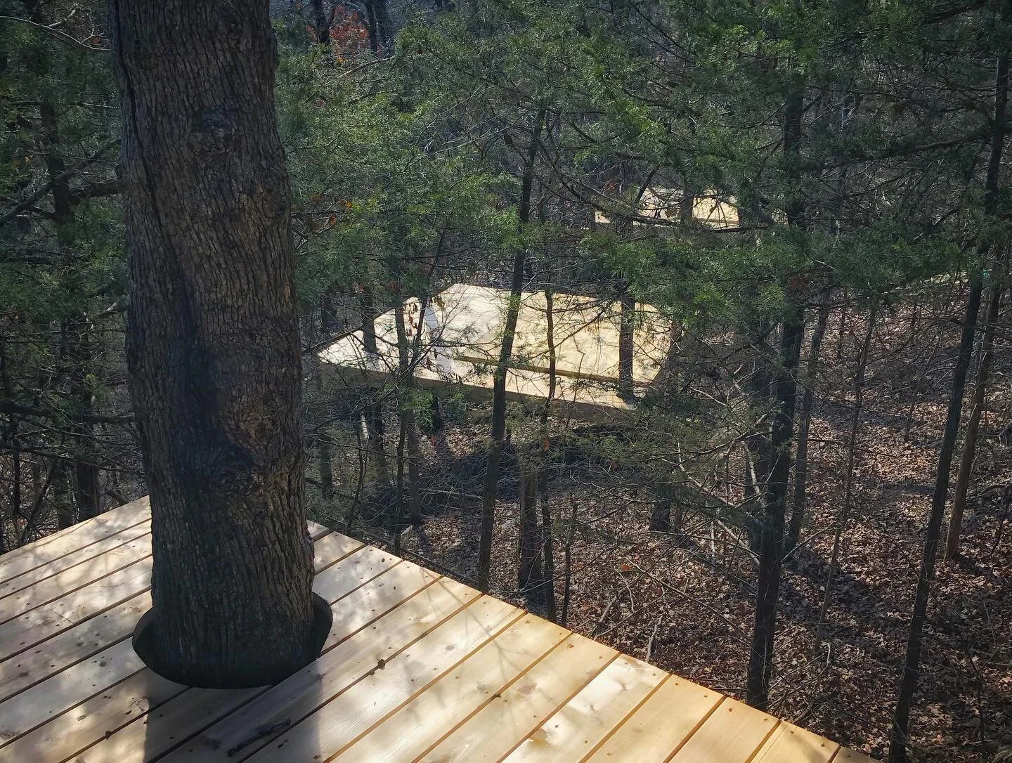 Natural State Treehouses