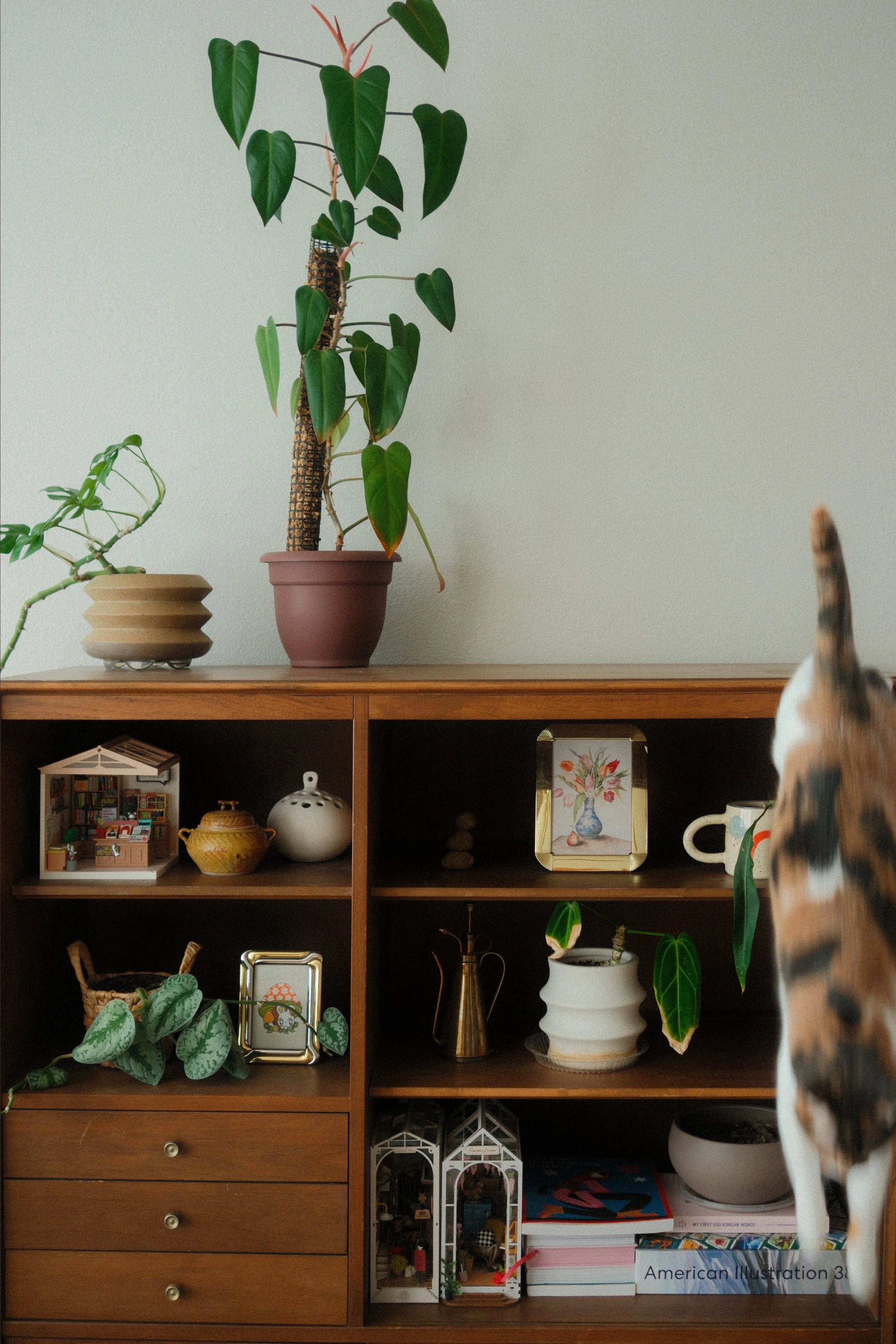 Photography — Tiffany Tan