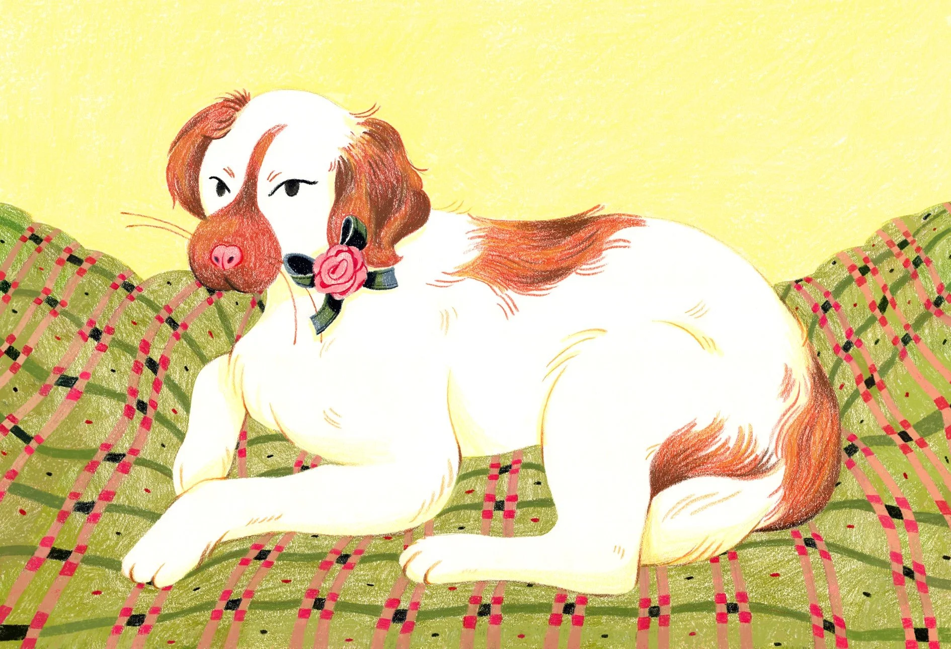 Tiffany Tan