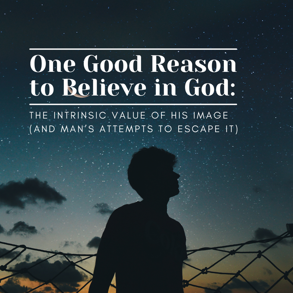One Good Reason to Believe in God: The Intrinsic Value of His Image ...